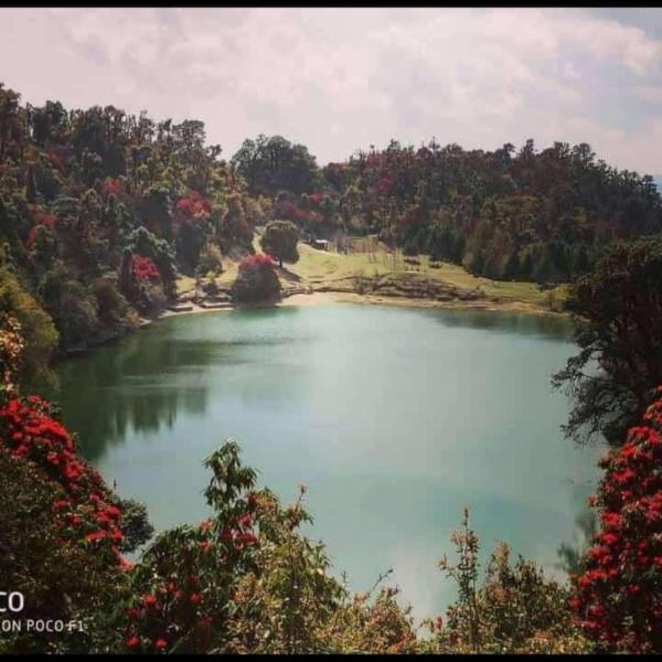 Fulari Home Stay - Chamoli