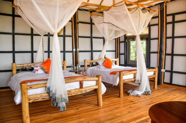 Irungu Forest Safari Lodge - Ouganda