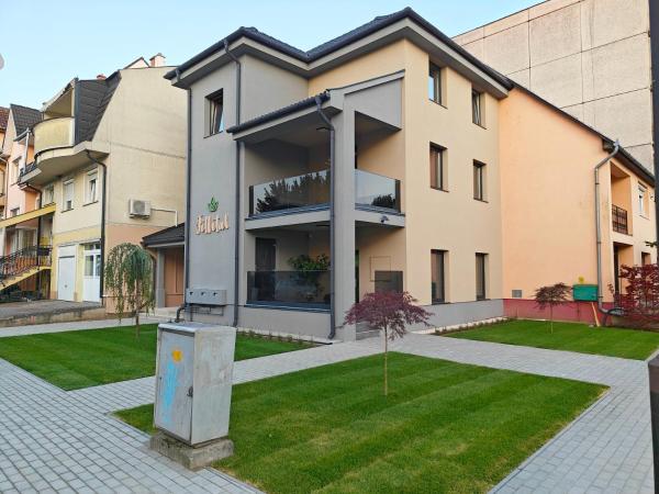 Fitvital Luxury Apartman - Kisvárda