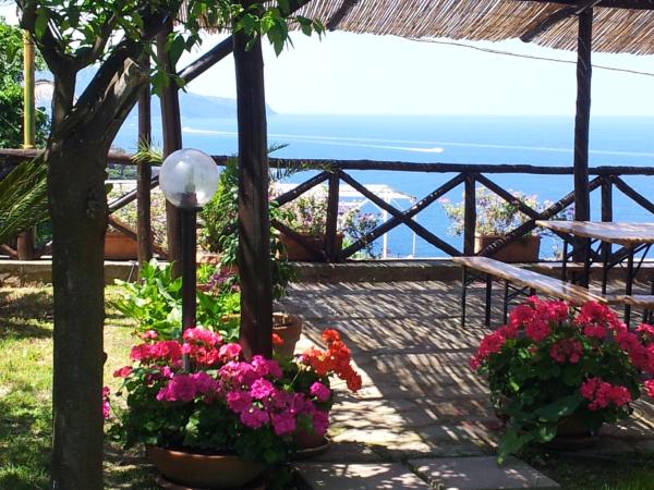 Tessa's Holiday - Capri