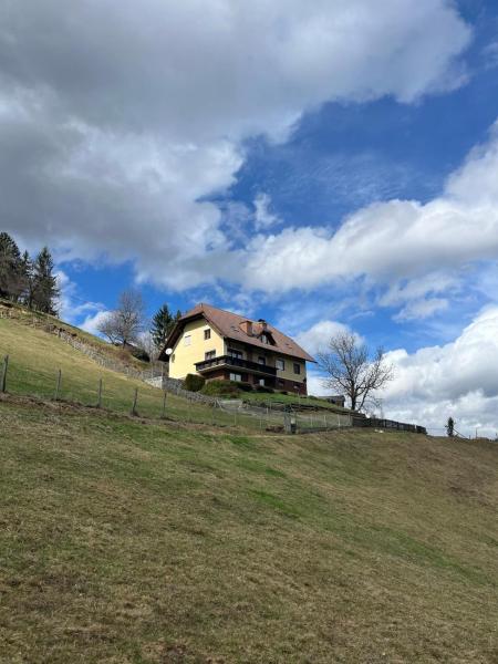 Erholung Pur Mit Aussicht Und Alpakas Zum Angreifen Nahe! - Steiermark
