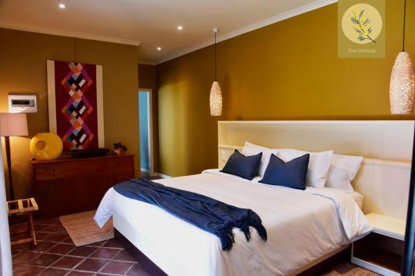 Le Mimose Escape - Swakopmund Namibia - Swakopmund