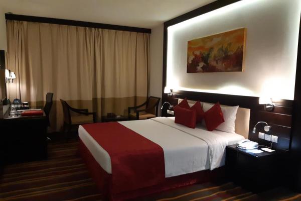 Hotel Luxe Stay - Igi Airport Delhi - Delhi