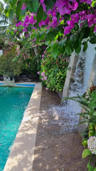 Casa Michelangela - Holistic Bio Hotel - Ischia