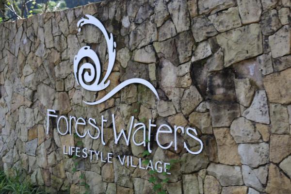 Forest-riversend - Hilton