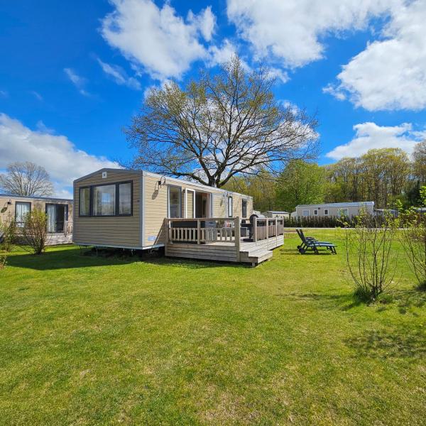 Chalet Zomerdroom Gasselte - Drenthe