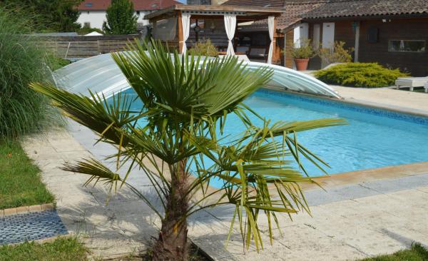 Le Lion D'or - Châtillon-sur-Chalaronne