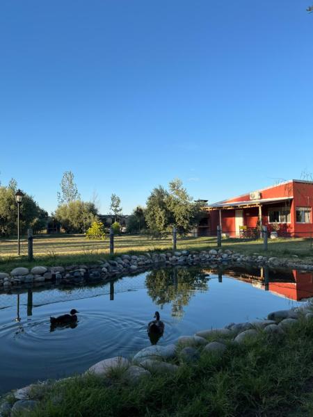 Finca La Calma - San Rafael