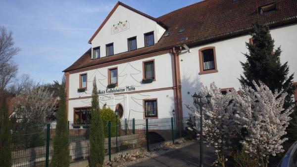 Landhotel Garni Knittelsheimer Mühle - Speyer