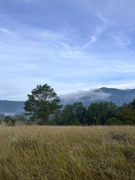 Bla Coconut House - Bảo Lâm District