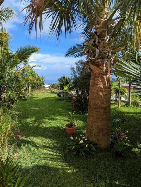 Chez Liliane Et Henri - Réunion