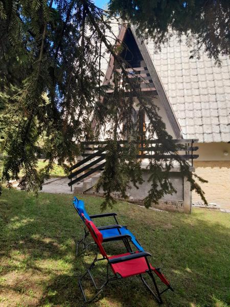 Pine Tree Cottage - Zlatibor