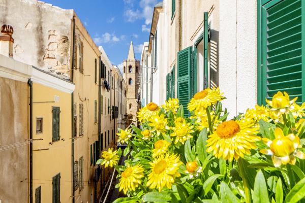 Iskra - アルゲーロ