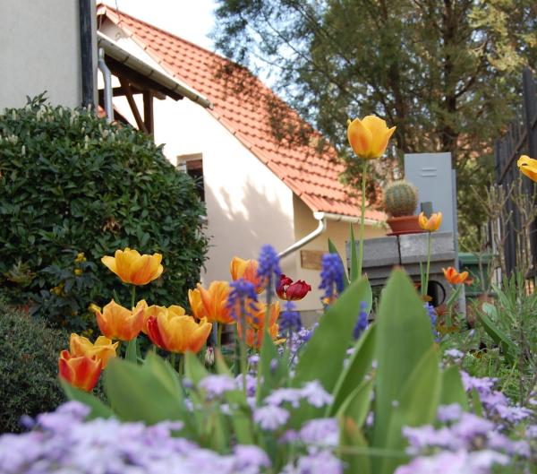 Maya Guesthouse - Eger