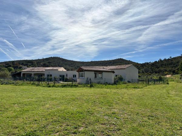 Le Pin D'alep - Bormes-les-Mimosas