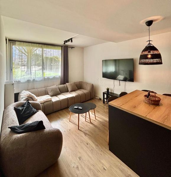 Appartement Spacieux Aux Portes Du Vieux-lille - Lille