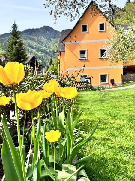 Ferienwohnung-mixnitz-bärenschützklamm 3 - Teichalm