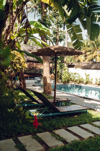 Paddle Cult Surf & Yoga - Varkala