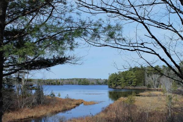 Somes Pond Island Cottage - Bar Harbor, ME
