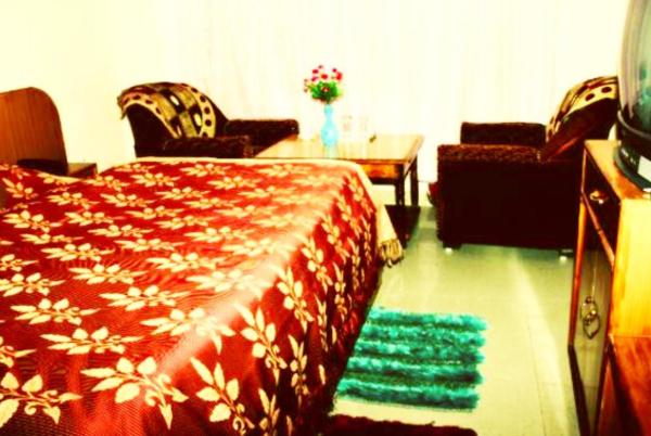 Hotel Mount View Nxe - Joshimath