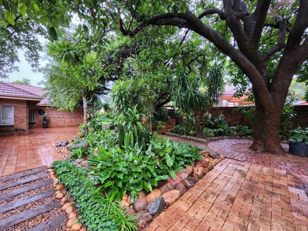 Tree Aloe Guest House - Mokopane
