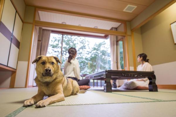 Matsusaka Doggie Paradise Hotel Smeall - 미에현