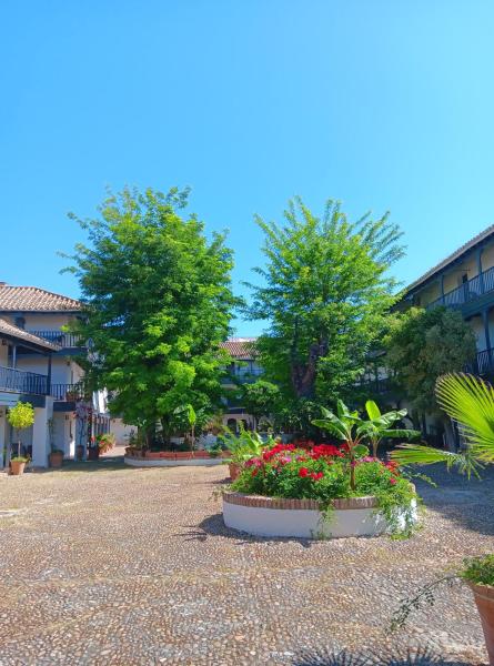 Corral Montelucía Siglo Xvi - Sevilha