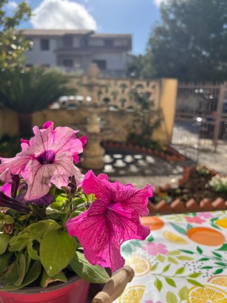 Nonna Ciccina’s House - Sicile