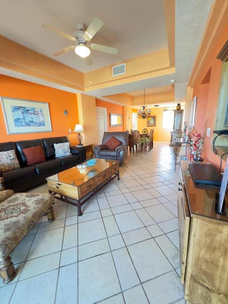 Girasol Maximilian En La Playa Sandy Beach - Sonora