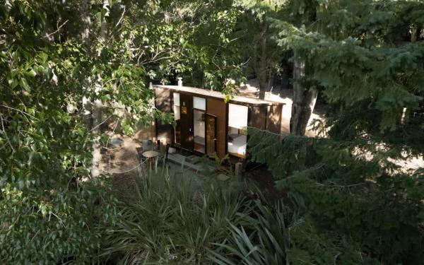 Pine Nut Corner By Tiny Away -