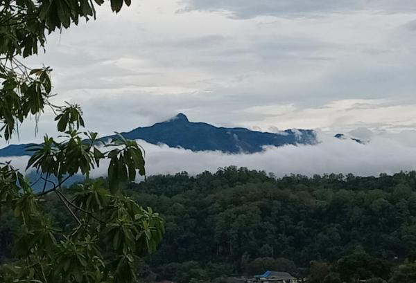Jily Stay - Sri Lanka