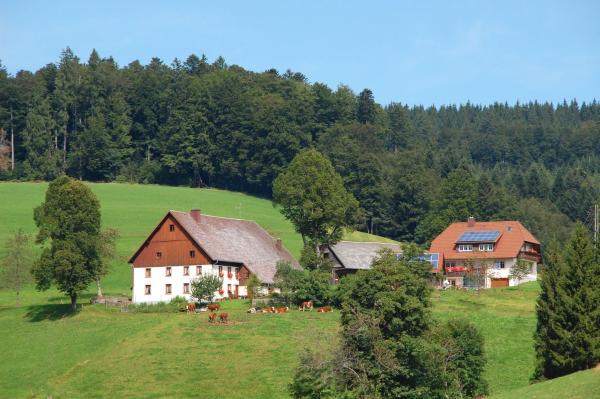 Baschijörgenhof - Elzach