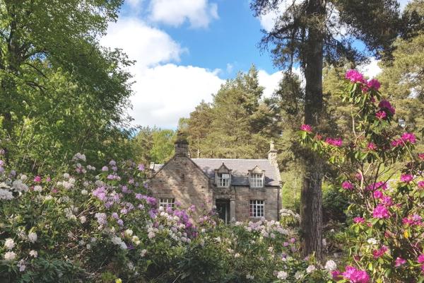 Garden Cottage - Ballater