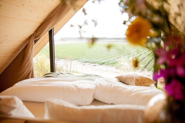 Ecohome Zilt - 8 Pers - Zeezand Recreatie - Callantsoog
