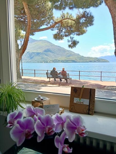 Lake Como Porto Vecchio - Domaso