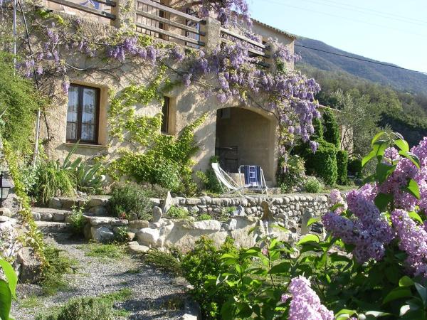 La Lavande - Digne-les-Bains