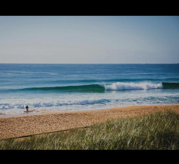 Quiet Haven - Forster
