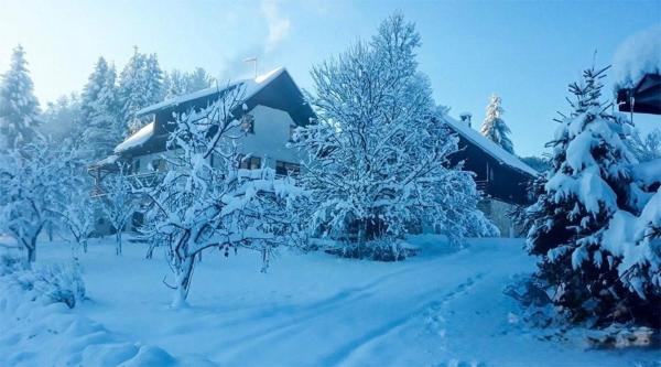 Holiday House With A Parking Space Srednja Draga, Gorski Kotar - 24140 - Osilnica