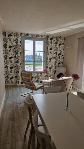 Vaste Appartement Le Family Avec Vue Sur La Vienne - Chinon