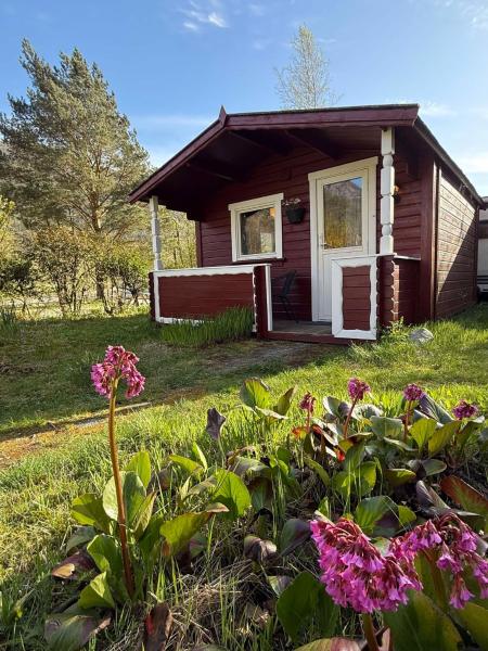 Cozy Camping Cabin - Norway