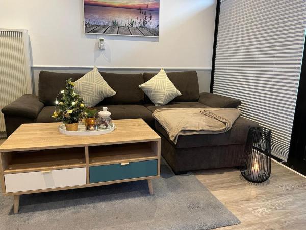 Küstenläufer - Schleswig-Holstein