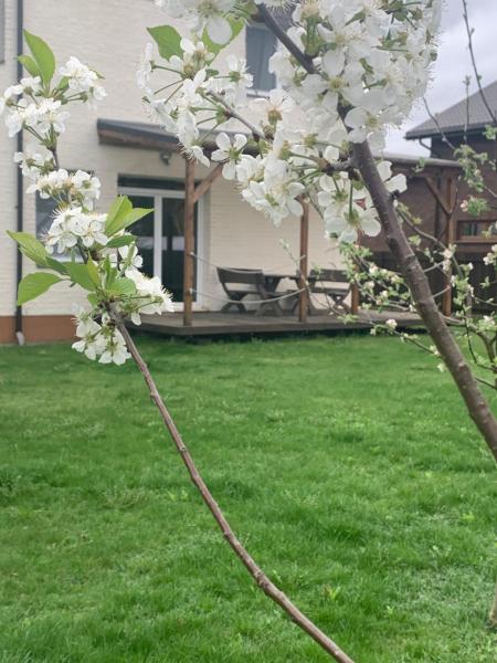 Pilaites Svetingi Namai - Vilnius