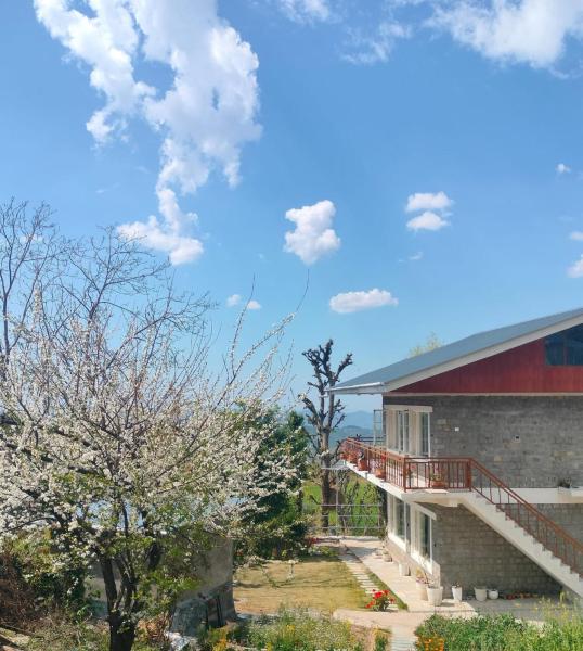 Fursatghar Aangan Studio Apartment - Bir