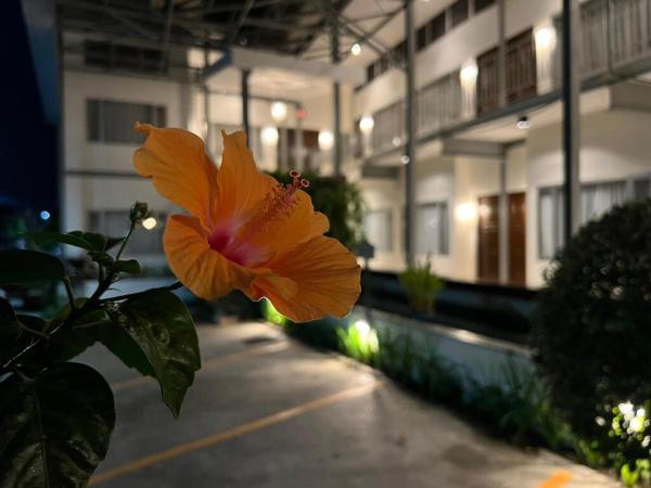 3b Boutique Hotel & Restaurant - Chiang Mai