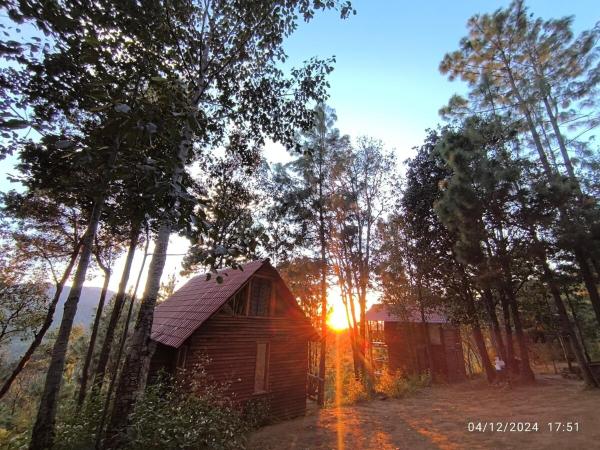 Cabañas En El Bosque De San José Del Pacífico 5 - Oaxaca