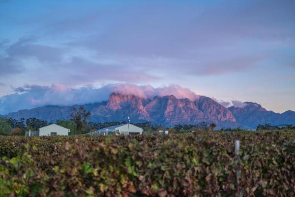 Cottage 5 - Leo Sky Farm - Cape Town