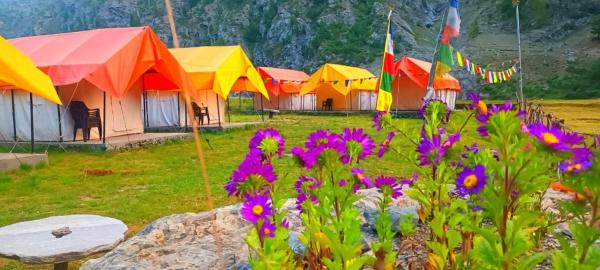 Kangal Camps Miyar Valley - Lahaul And Spiti