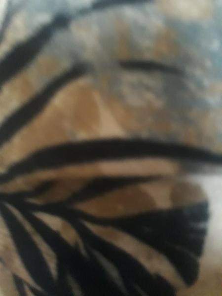 Logistics Pyramids Viwe - Giza