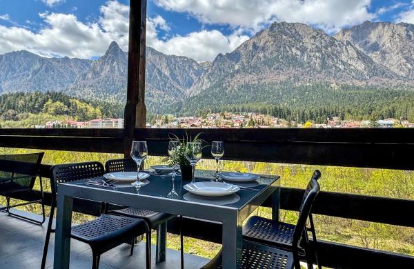Busteni Mountain View Suites By The River - Ev Plug - Transylvania