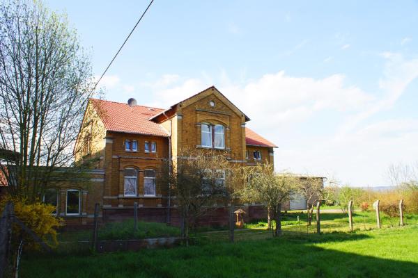 Alte Mühle Kelbra - Ehemalig Albig - Wallhausen